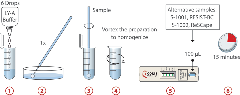 RESIST-ACINETO - In vitro rapid diagnostic test - OXA-23 OXA-40 OXA-58 NDM