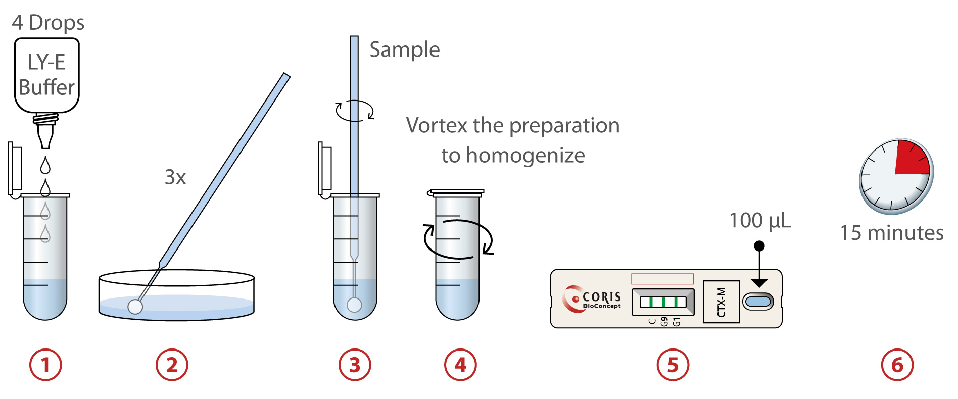 RESIST CTX-M Rapid diagnostic