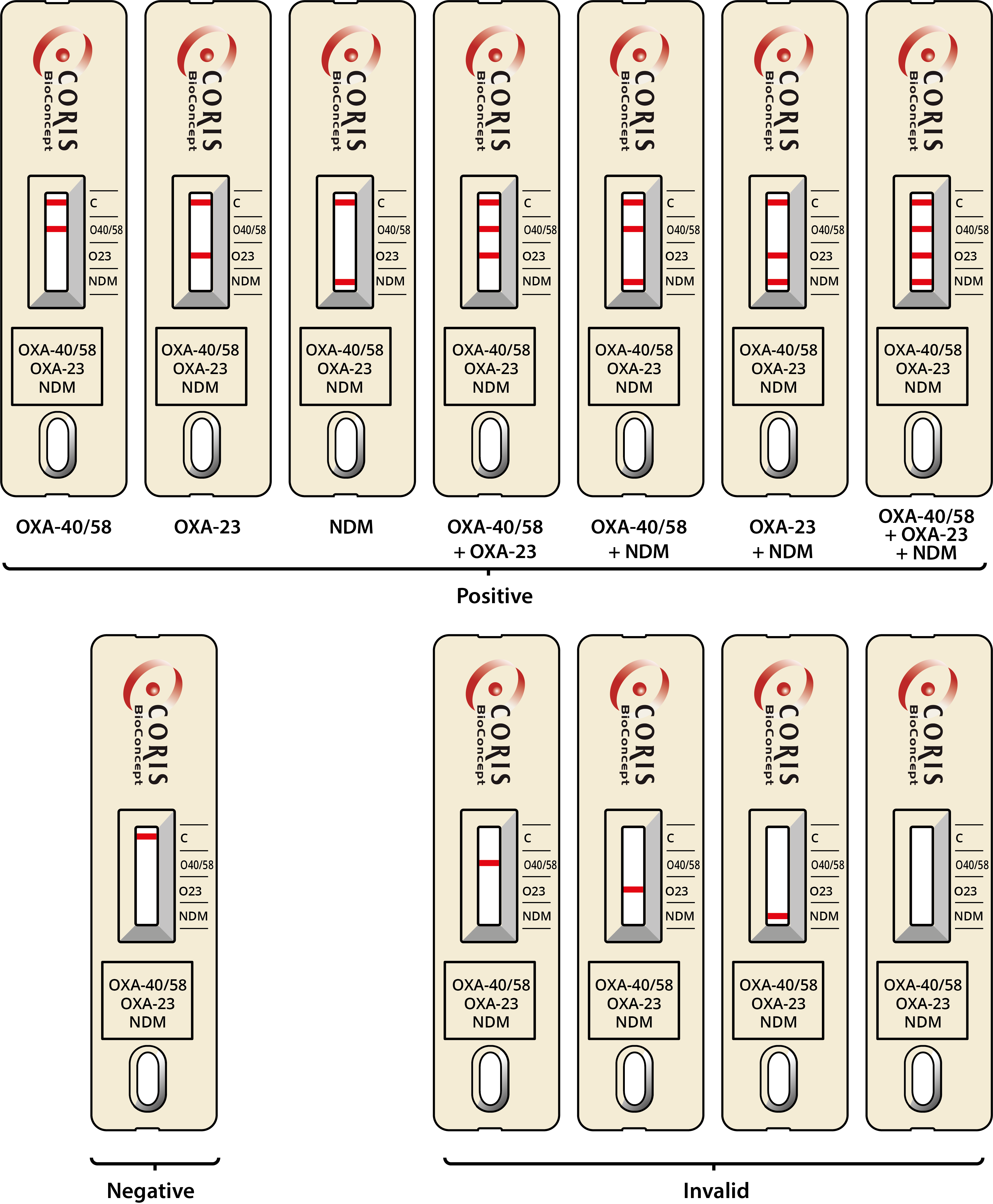 RESIST-ACINETO - In vitro rapid diagnostic test - OXA-23 OXA-40 OXA-58 NDM