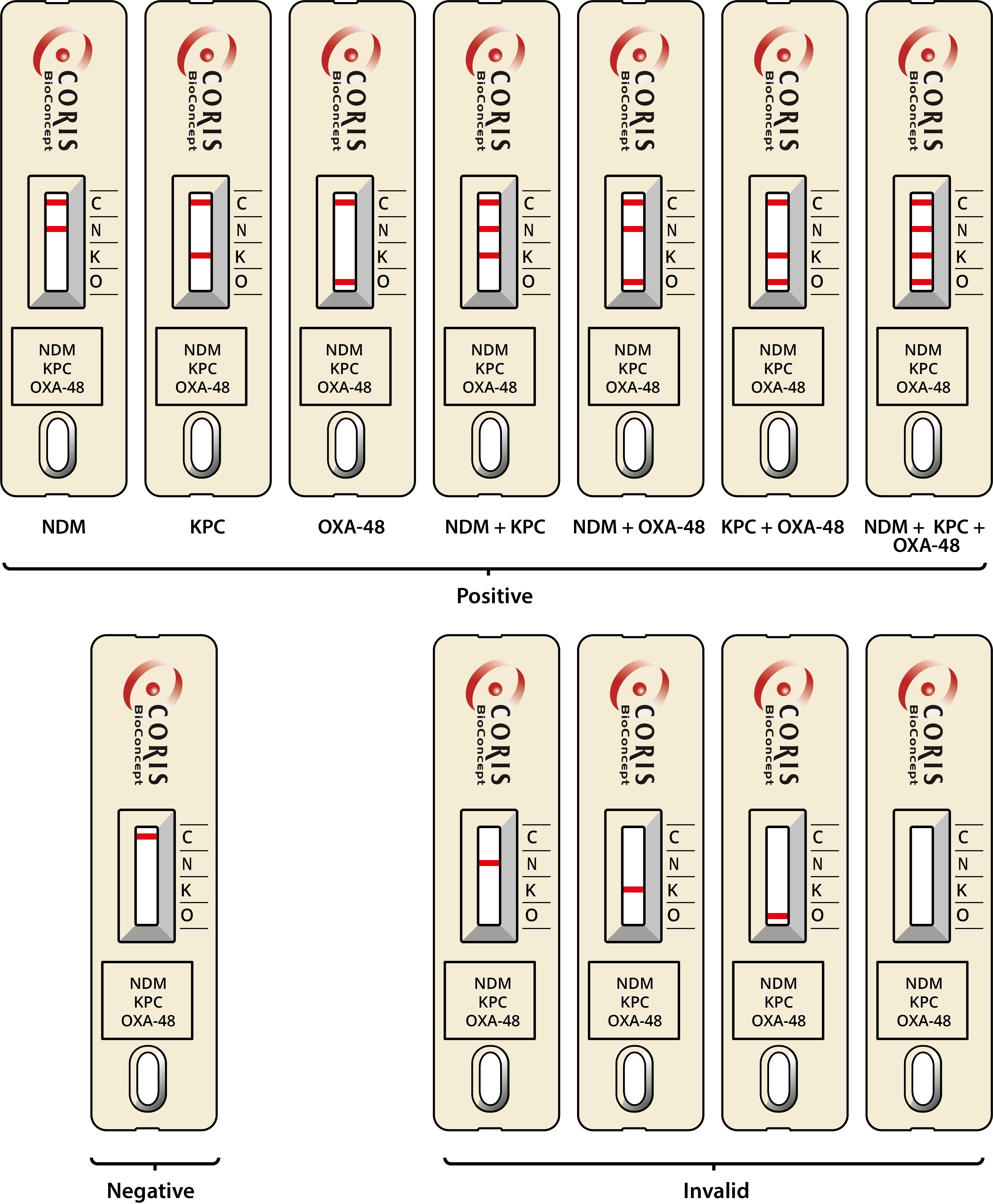 RESIST-3 OKN K-SeT - Single test for identification of OXA-48-like, KPC ...